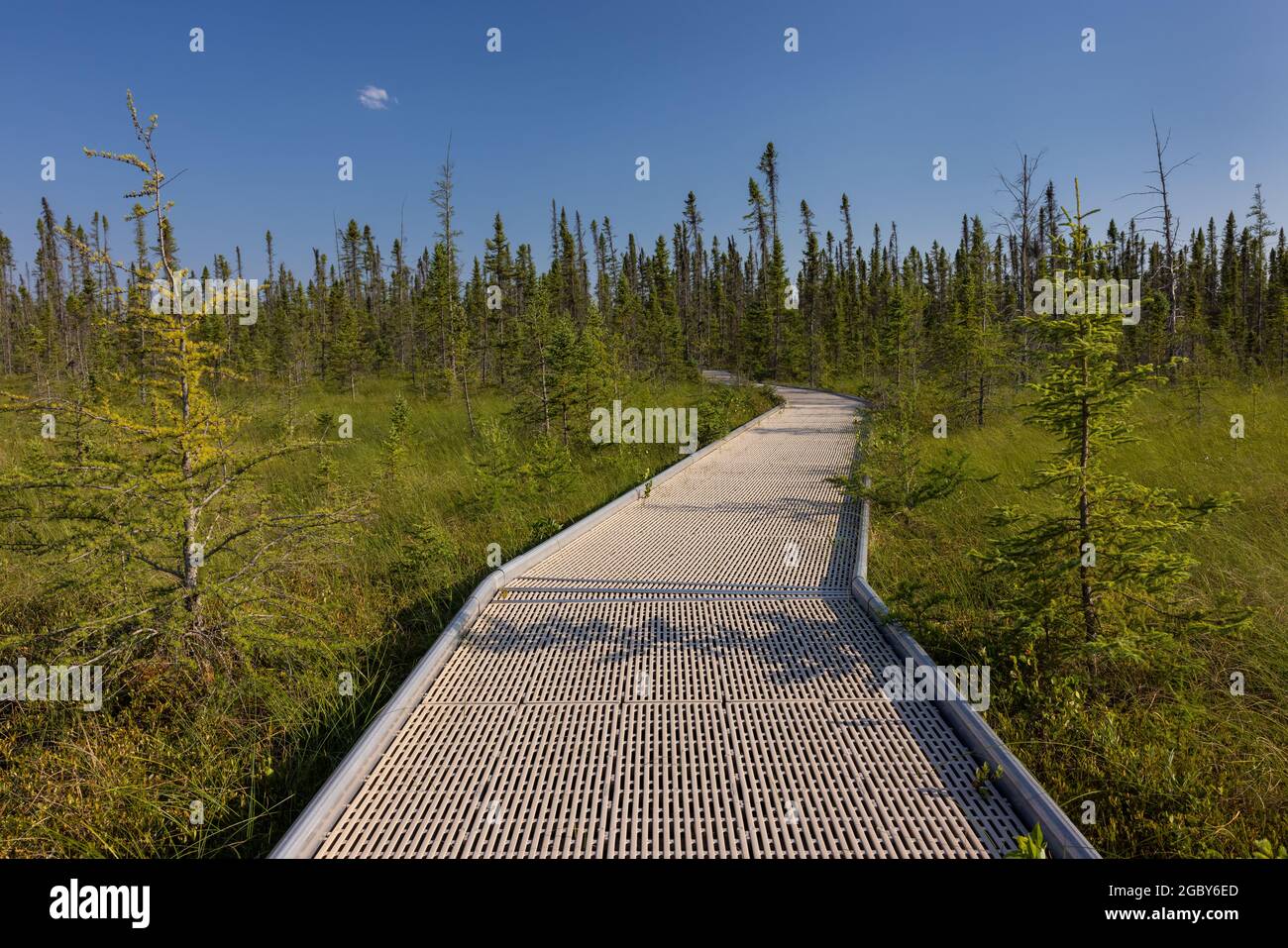 Bog nature trail hi-res stock photography and images - Alamy