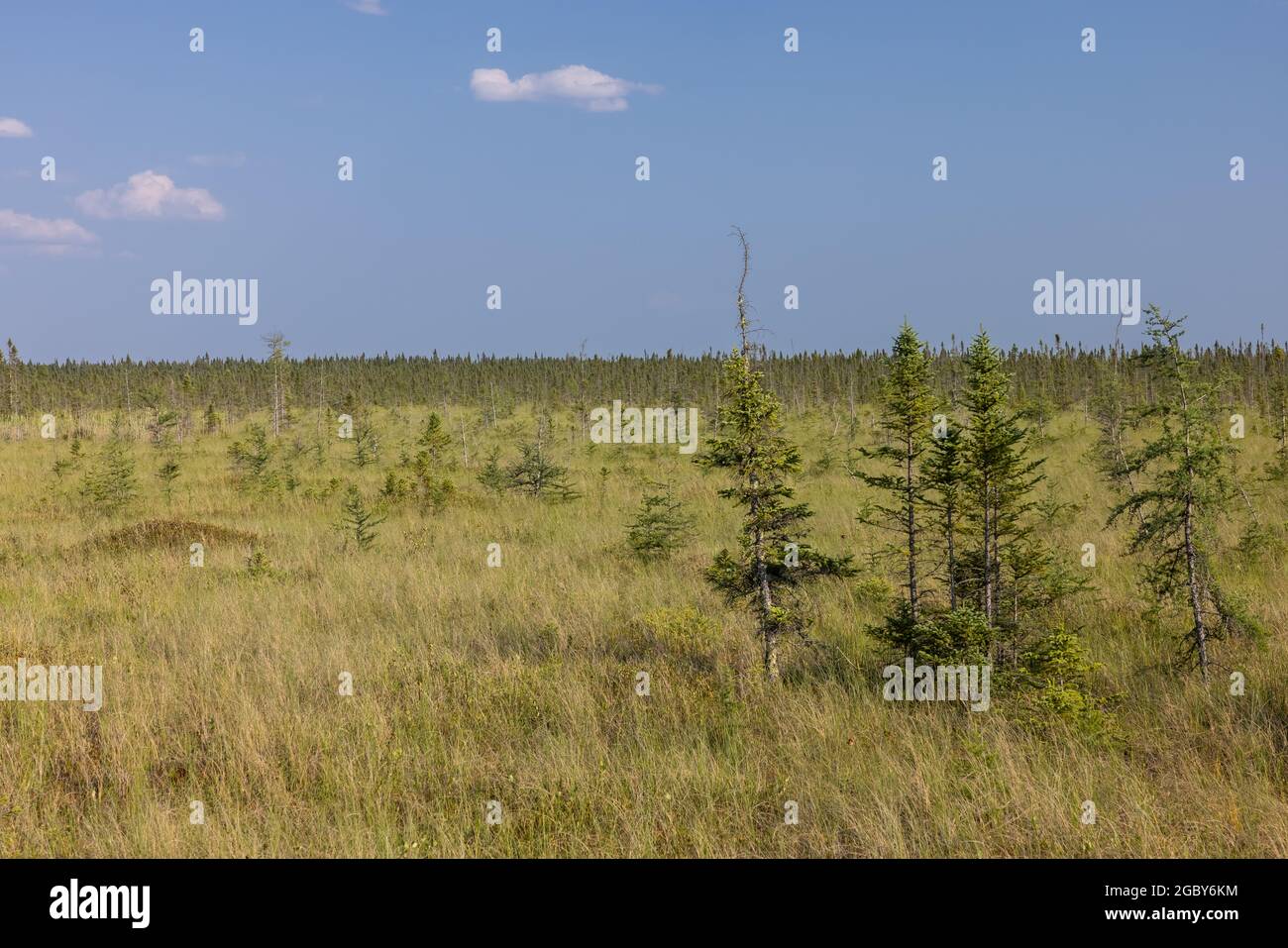Bog scenic landscape hi-res stock photography and images - Alamy