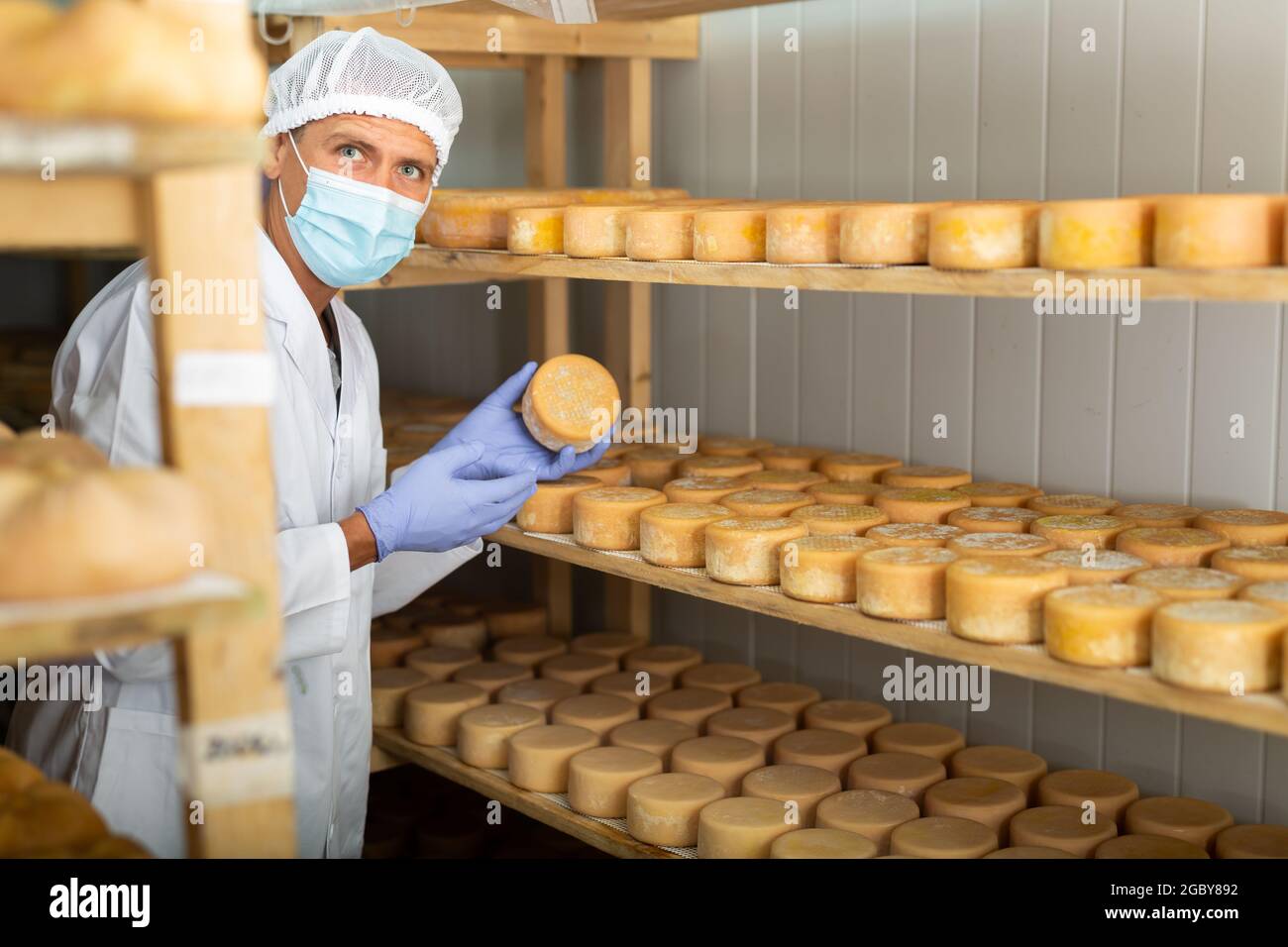 Cheese dairy worker in protective mask checks the quality of cheese ...