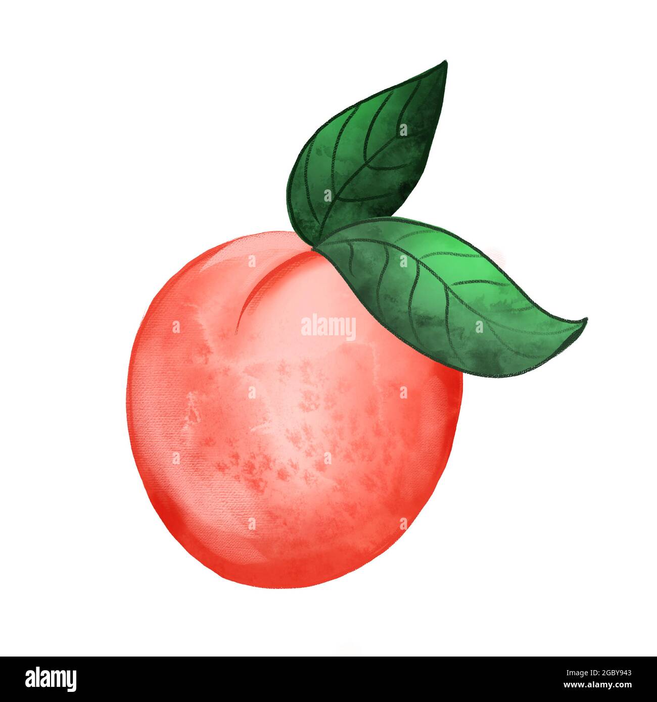 Peach Fruit Painting