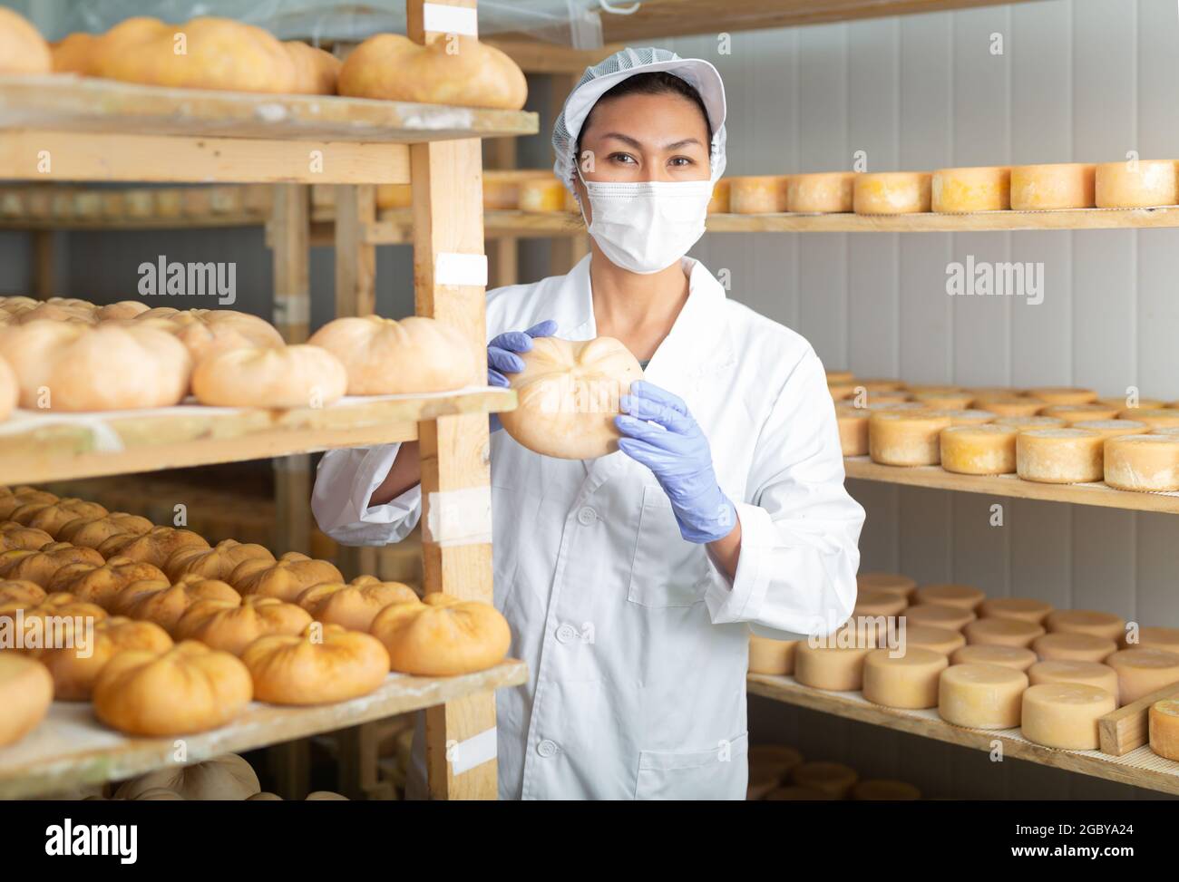 Woman cheesemaker in mask checking aging process of goat cheese Stock ...