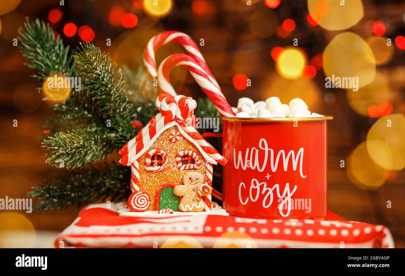 Cozy hot chocolate with gingerbread and cocoa powder. Hot chocolate ...