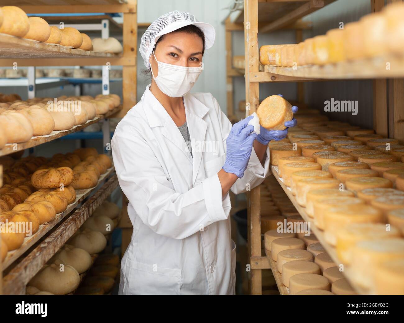 Woman cheesemaker in mask checking aging process of goat cheese Stock ...