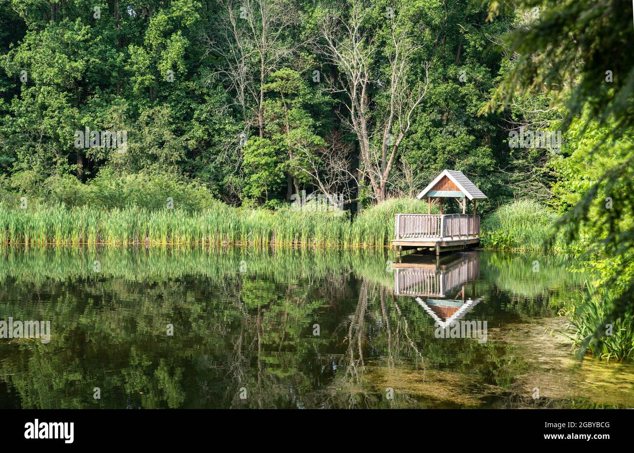 Environment fishing forest hi-res stock photography and images - Alamy
