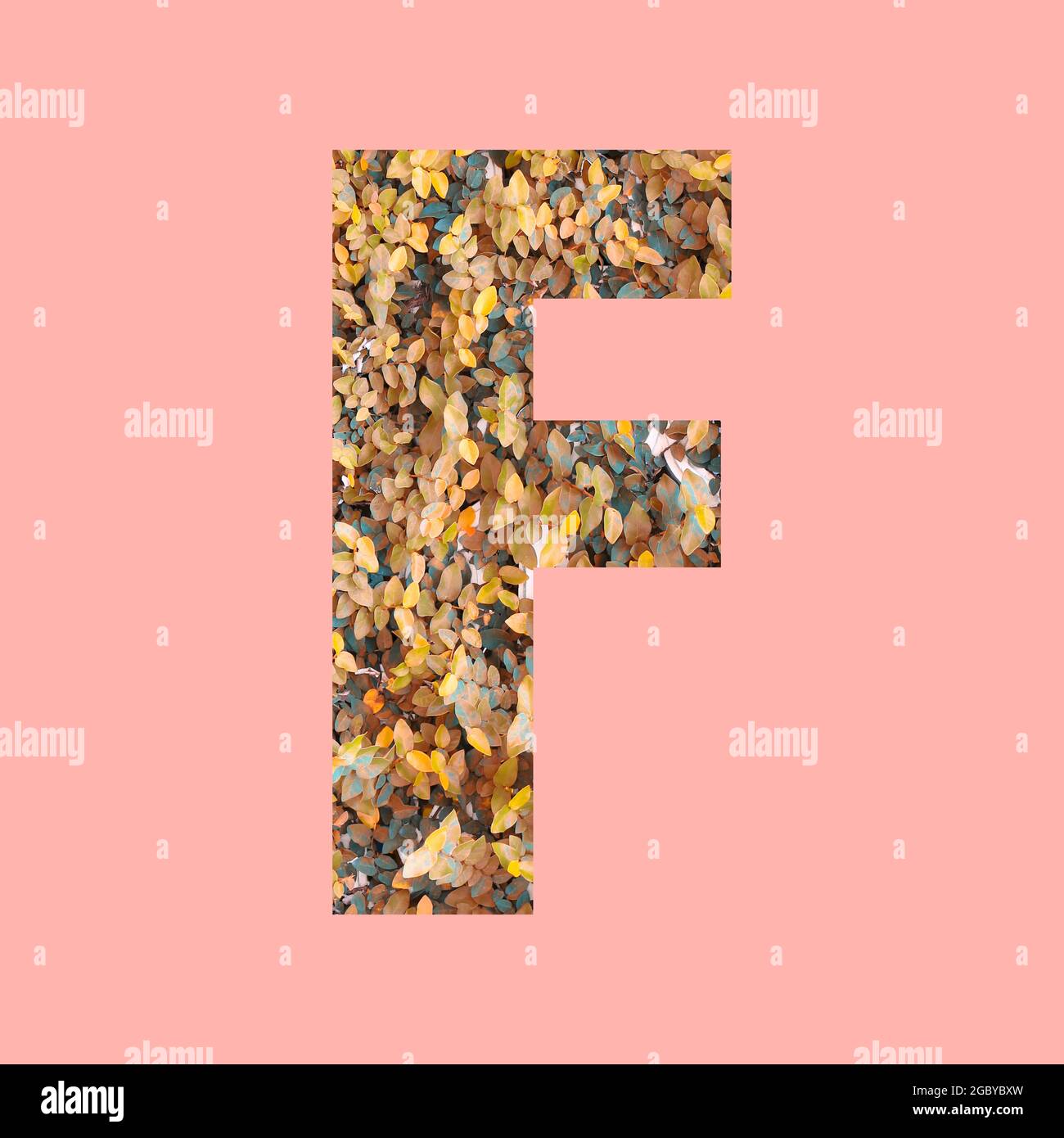 Alphabet letters of shape F in autumn style on pastel pink background ...