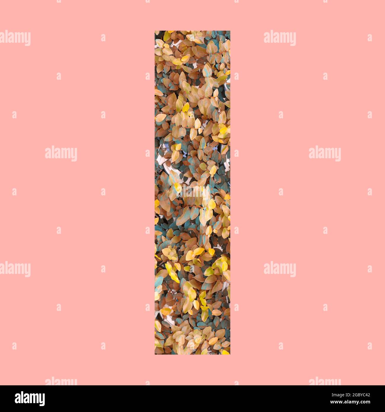 Alphabet letters of shape I in autumn style on pastel pink background ...