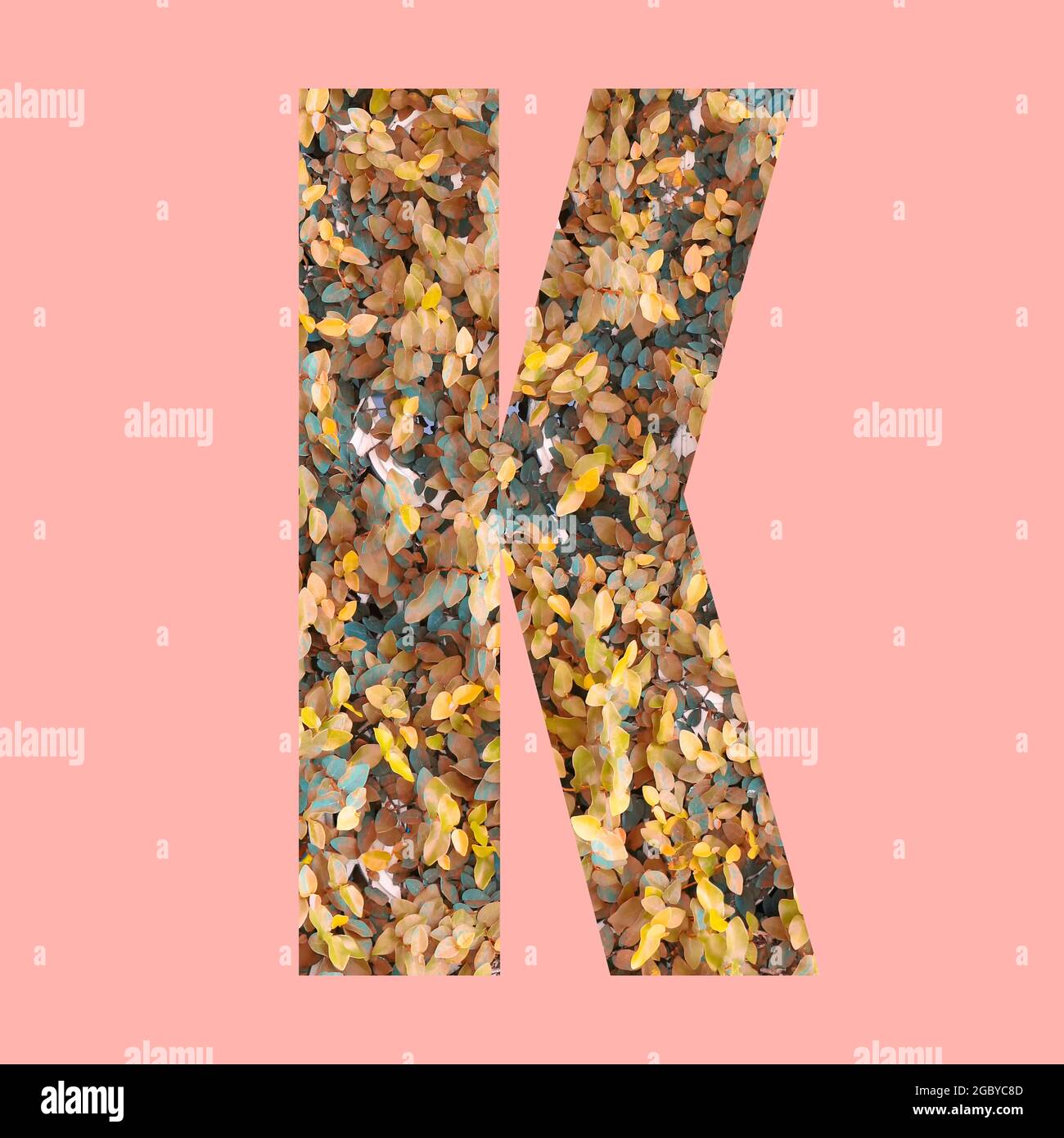 Alphabet letters of shape K in autumn style on pastel pink background ...