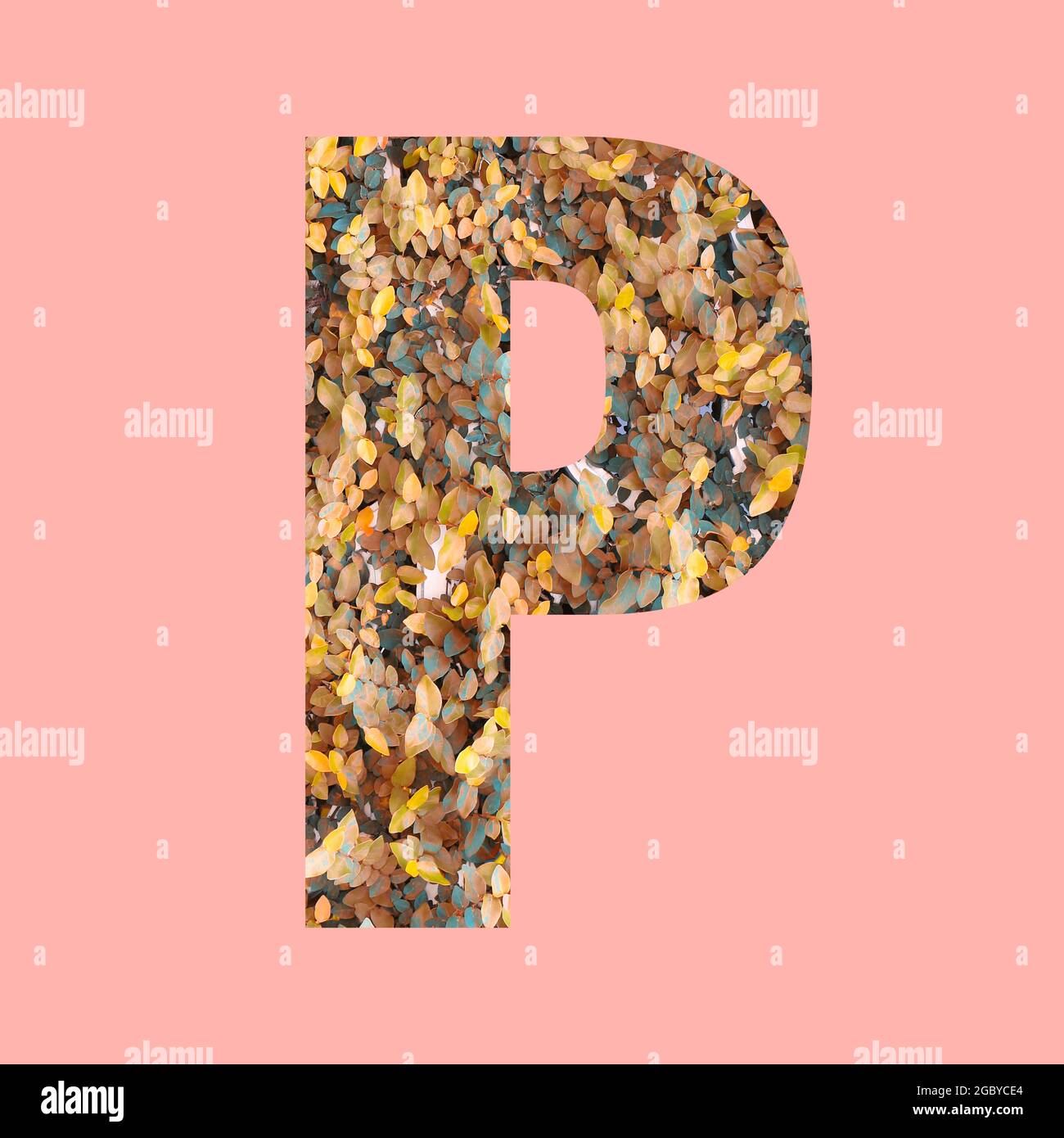P Alphabet Wallpaper In Heart