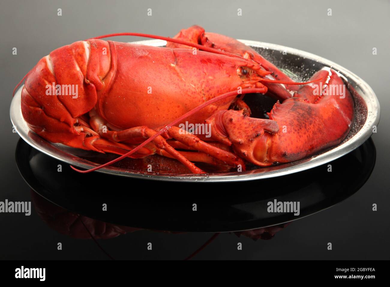 Red lobster on tray, on grey background Stock Photo - Alamy