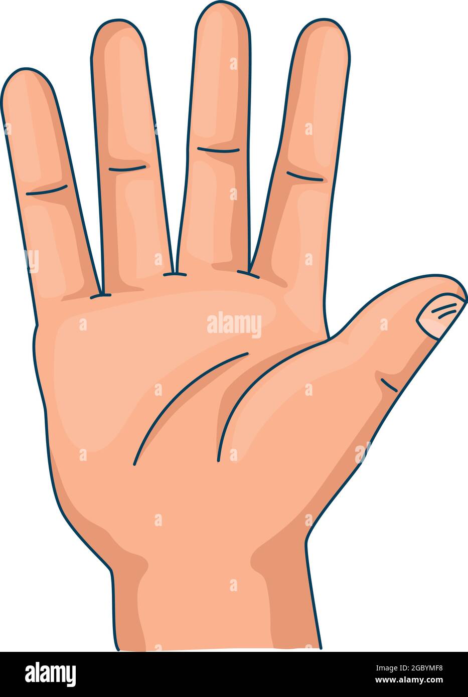 cute hand open Stock Vector Image & Art - Alamy