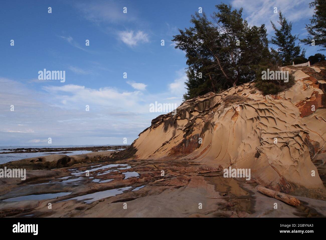 Natural view of rocky coast during low tide under clear sky Stock Photo ...