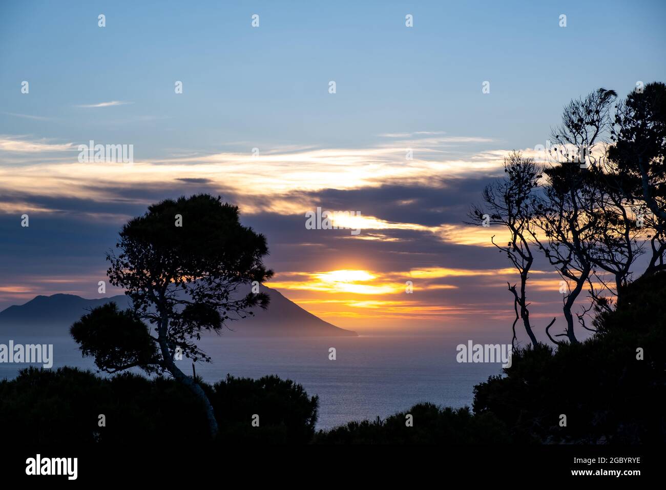 Sunset over Aegean sea. Milos island, Cyclades Greece. Plants, trees ...