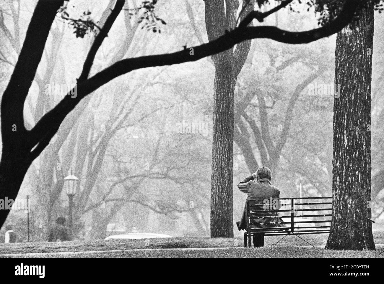 Austin Texas USA, circa 1984: Man sits on bench as fog shrouds the ...