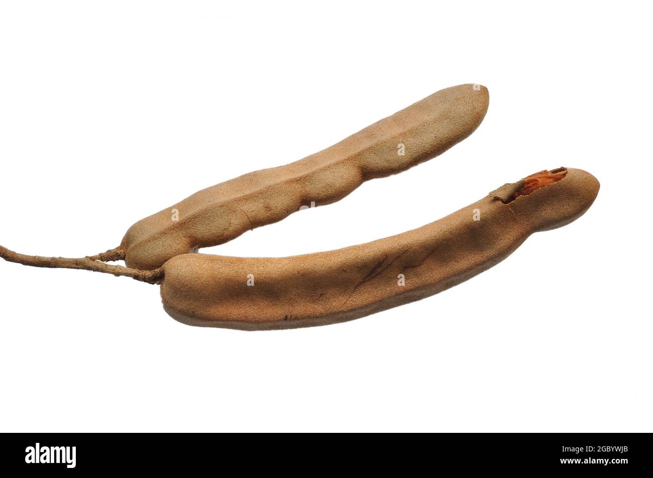 Ripe tamarind isolated on white background Stock Photo - Alamy