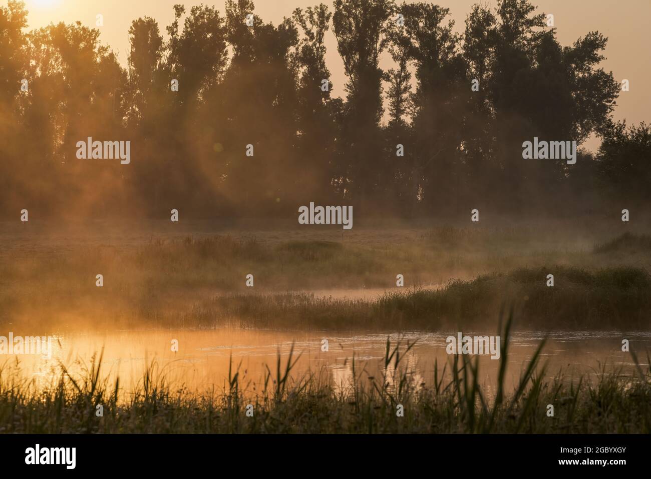 Mesmerizing landscape by a lake at sunset Stock Photo - Alamy