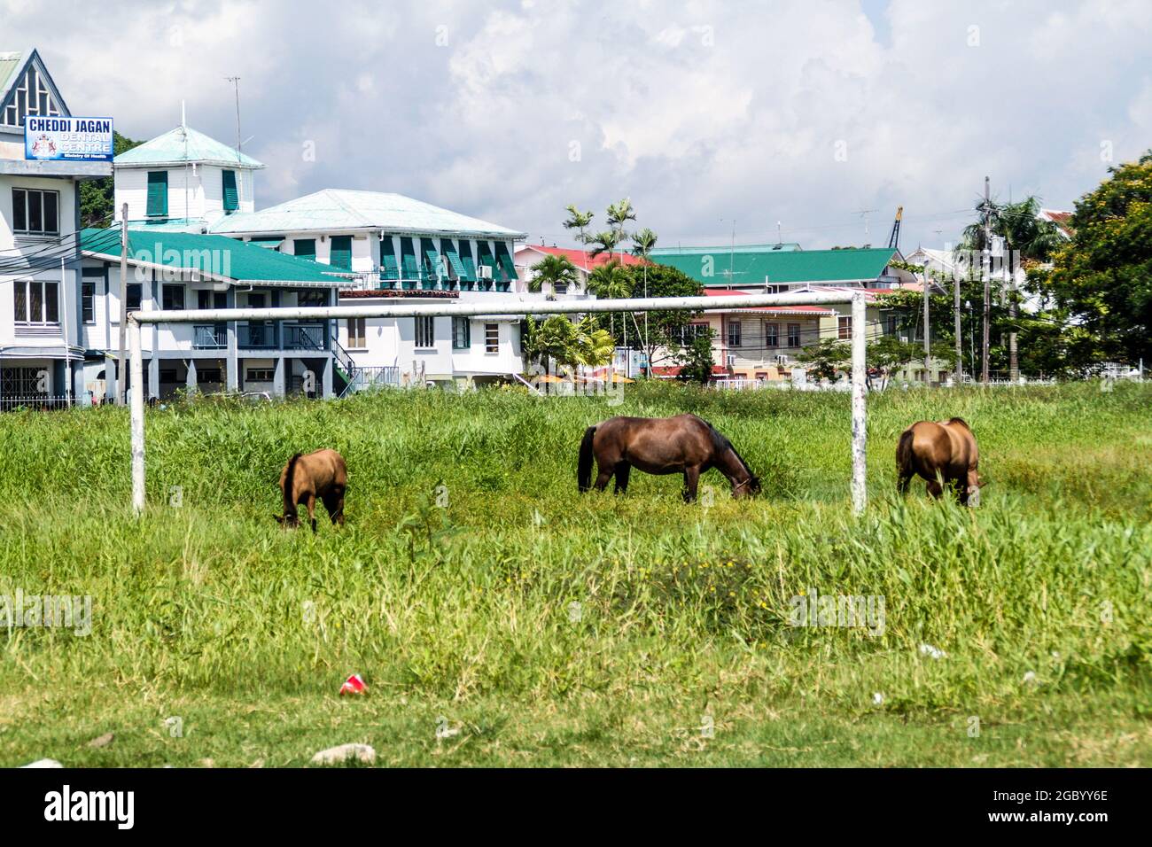 Guyana georgetown architecture hi-res stock photography and images - Alamy