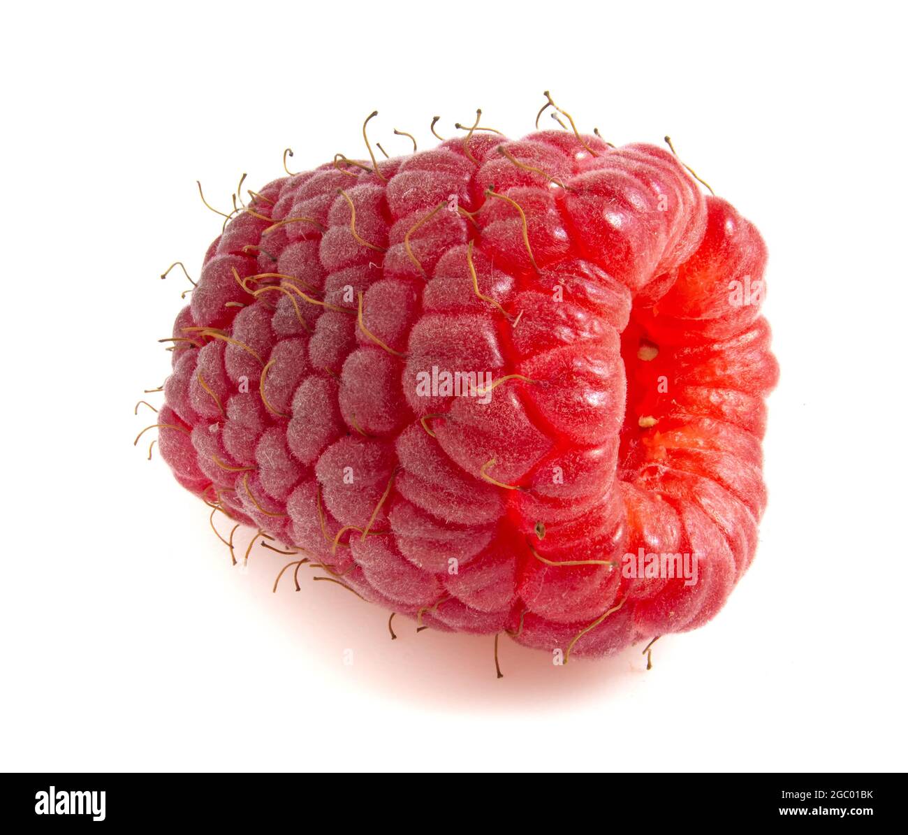 Ripe raspberry berry close-up isolated on white background Stock Photo ...