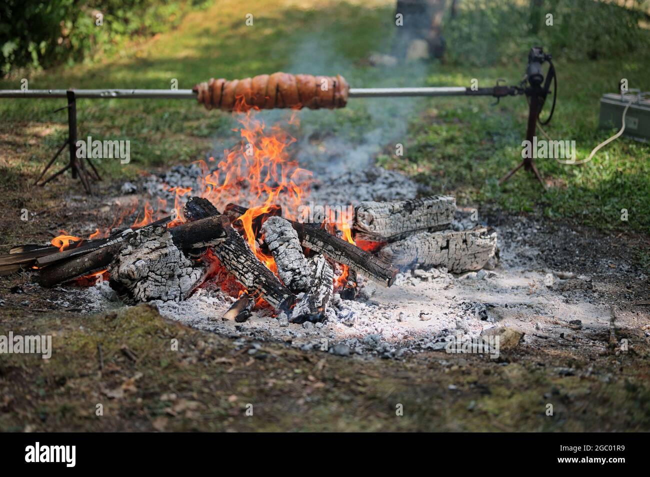 Pork meat baked on a spit Stock Photo - Alamy