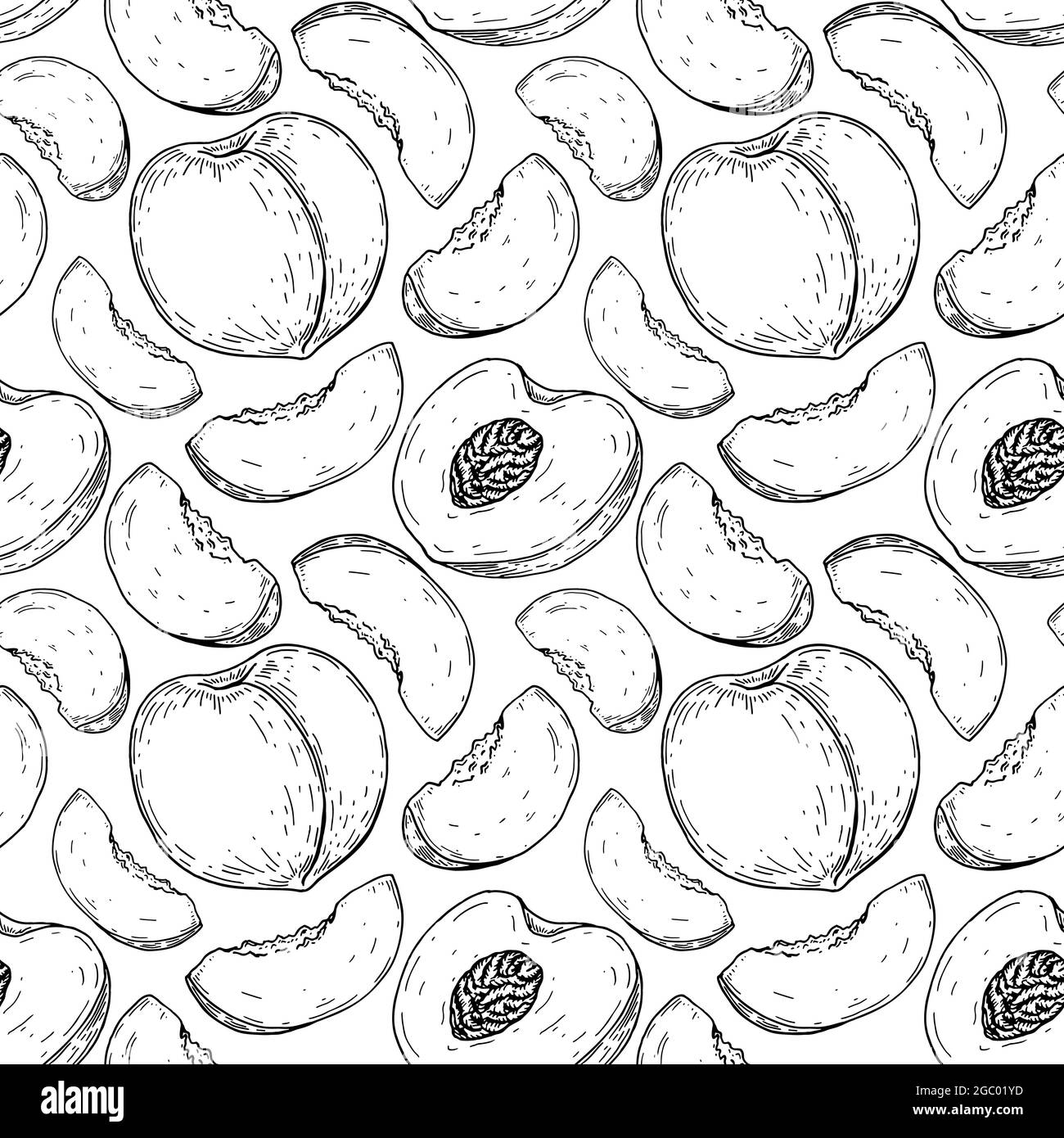 Hand drawn peach seamless pattern. Vector illustration Stock Vector ...