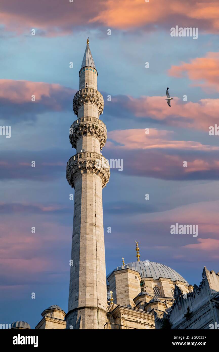 Turkey Istanbul Eminönü the roof top of the new mosque at sunset . One ...