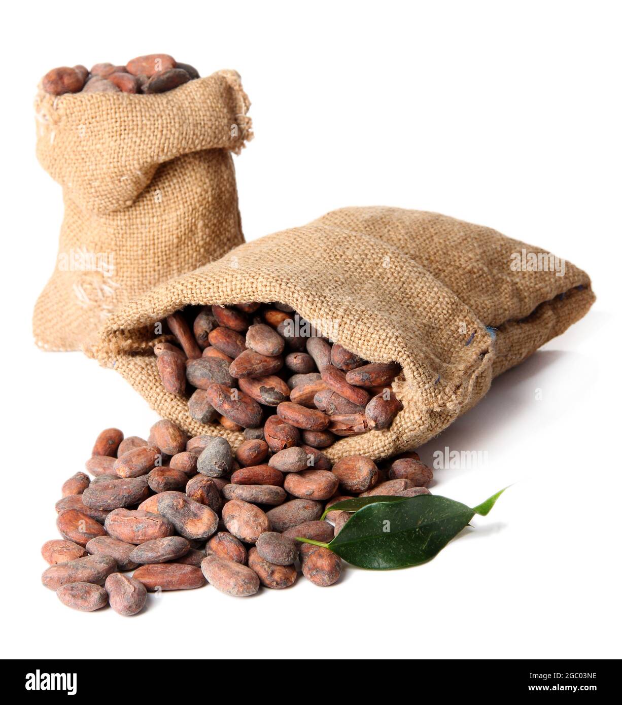Cocoa beans in bags with leaves isolated on white Stock Photo - Alamy