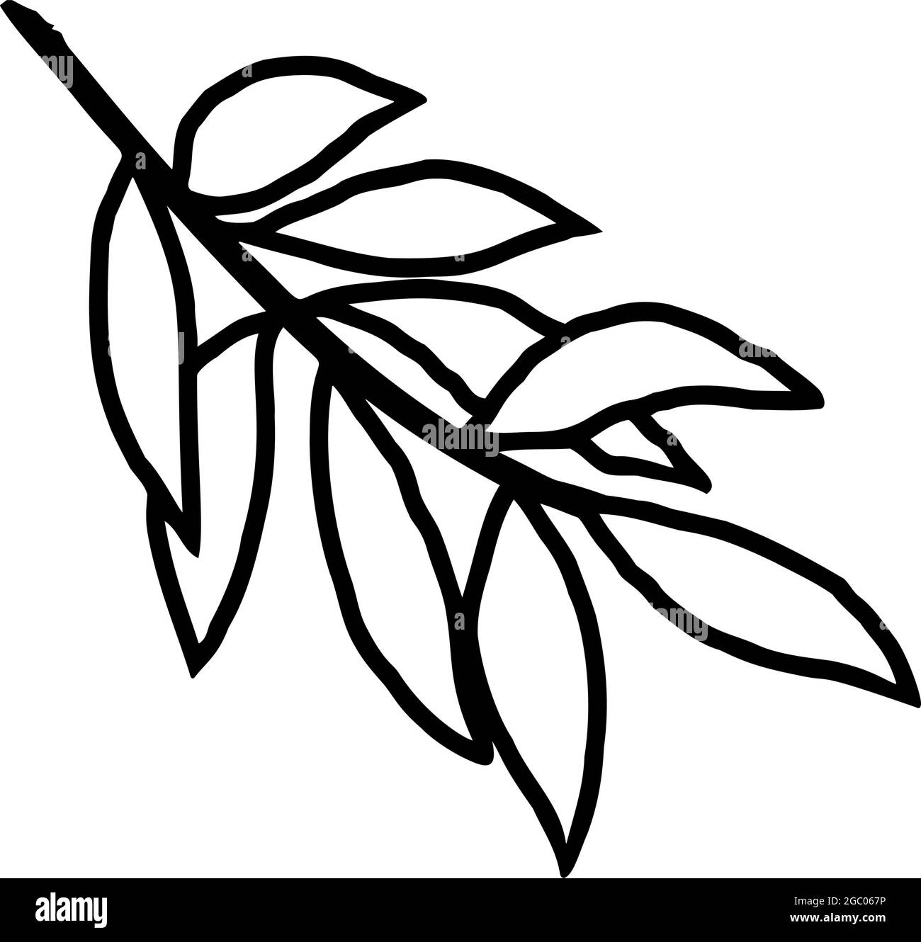 Hand drawn black ink floral clip atr Stock Vector Image & Art - Alamy