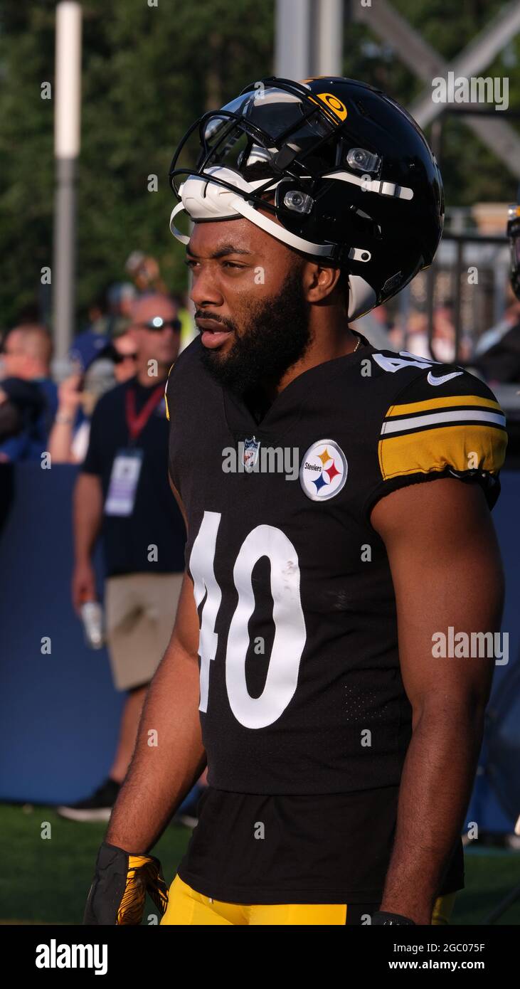 Tegray scales hi-res stock photography and images - Alamy