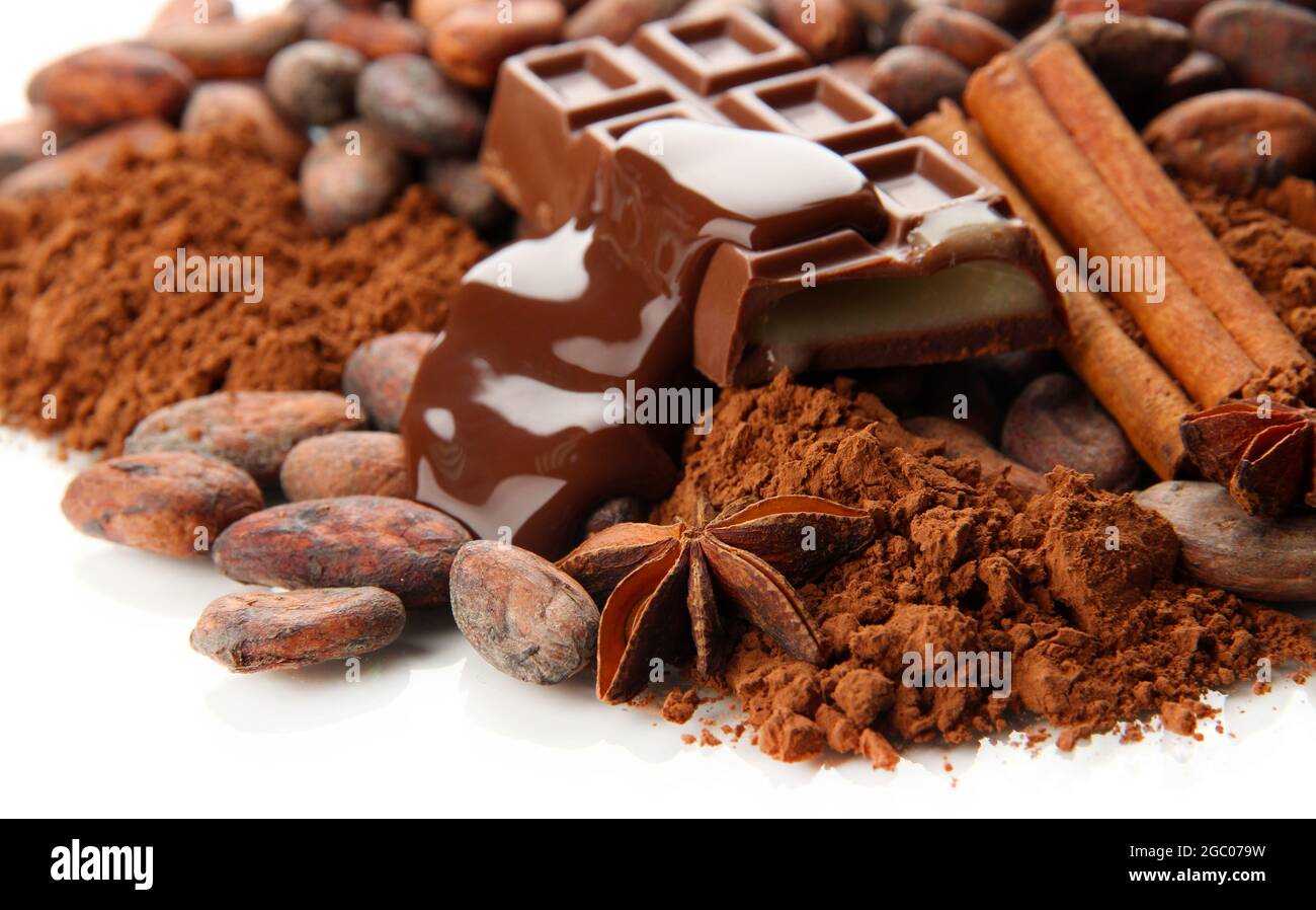 Composition of chocolate sweets, cocoa and spices, isolated on white ...