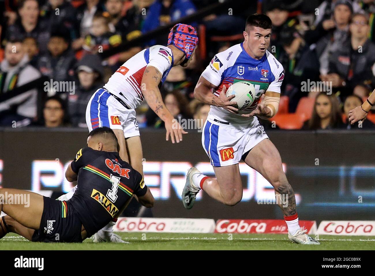 Kalyn ponga hi-res stock photography and images - Alamy