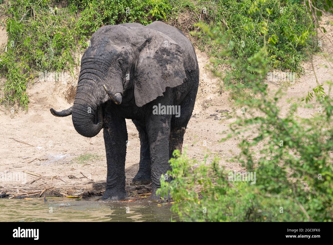 Kazinga channel landscape hi-res stock photography and images - Alamy