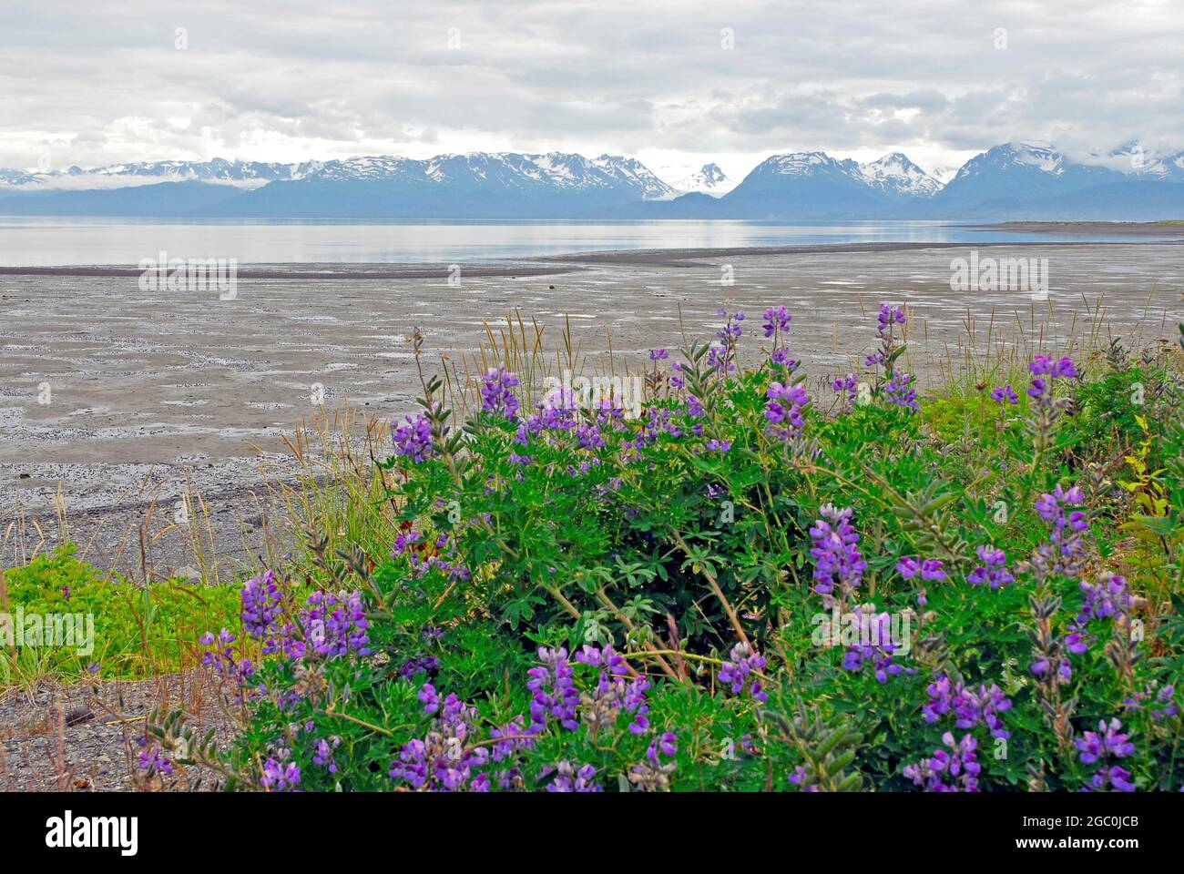 Homer spit beach Stock Photo - Alamy