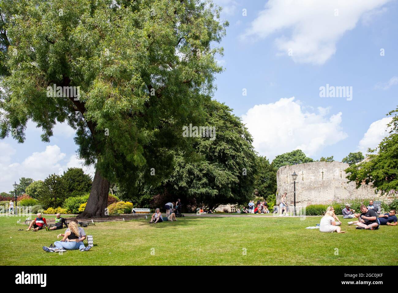 Museum in botanical gardens hi-res stock photography and images - Alamy