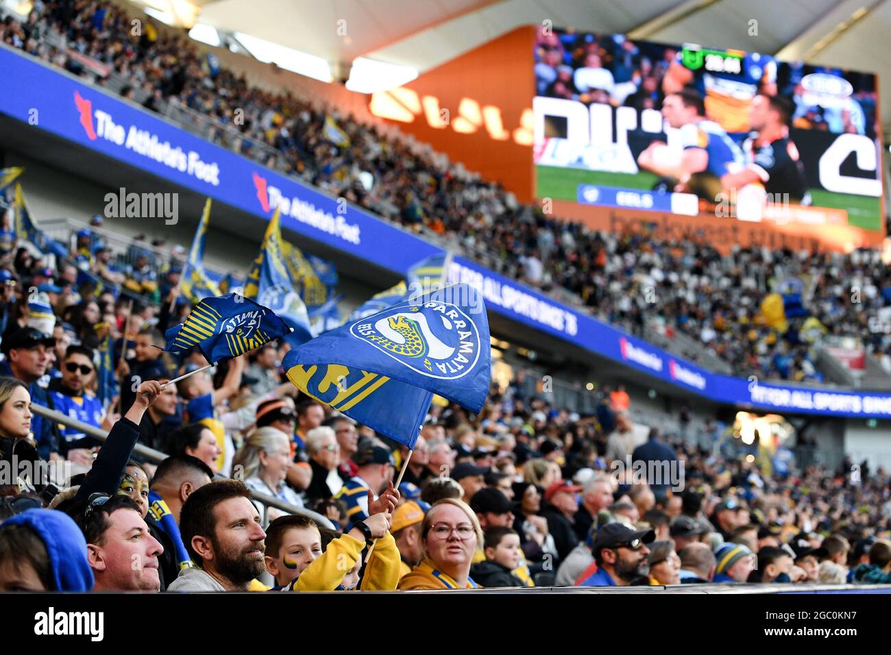 Parramatta eels fans hi-res stock photography and images - Alamy