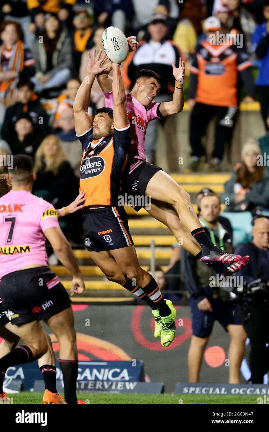 Nrl panthers tigers hi-res stock photography and images - Alamy