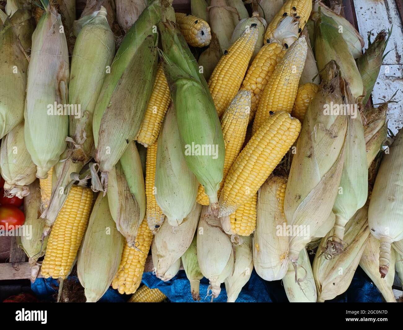 Closeup of sweet corns for sale at market Stock Photo - Alamy