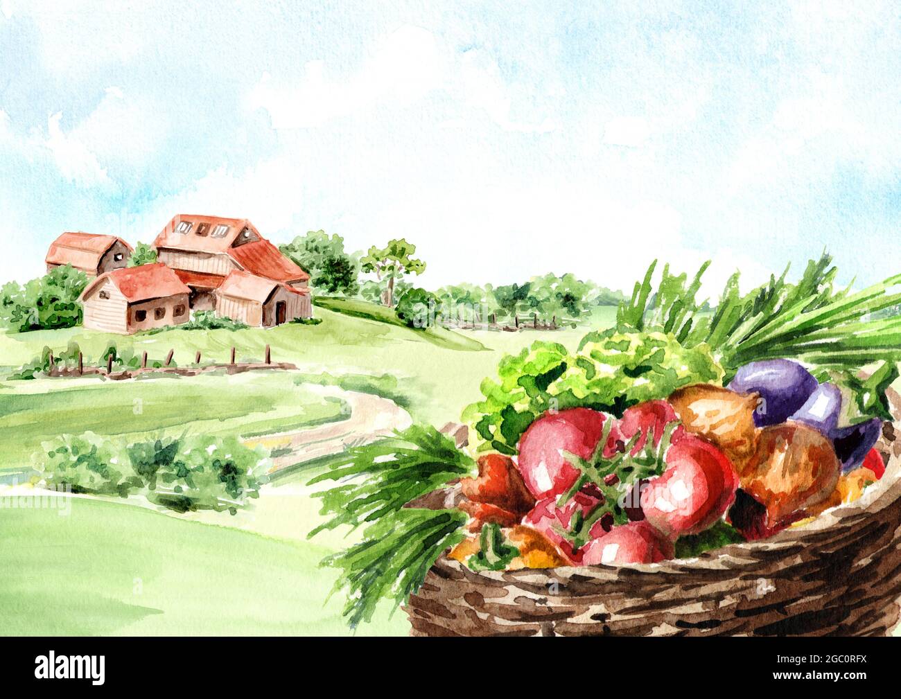 Organic farm products. Basket of vegetables on the background of a farm ...