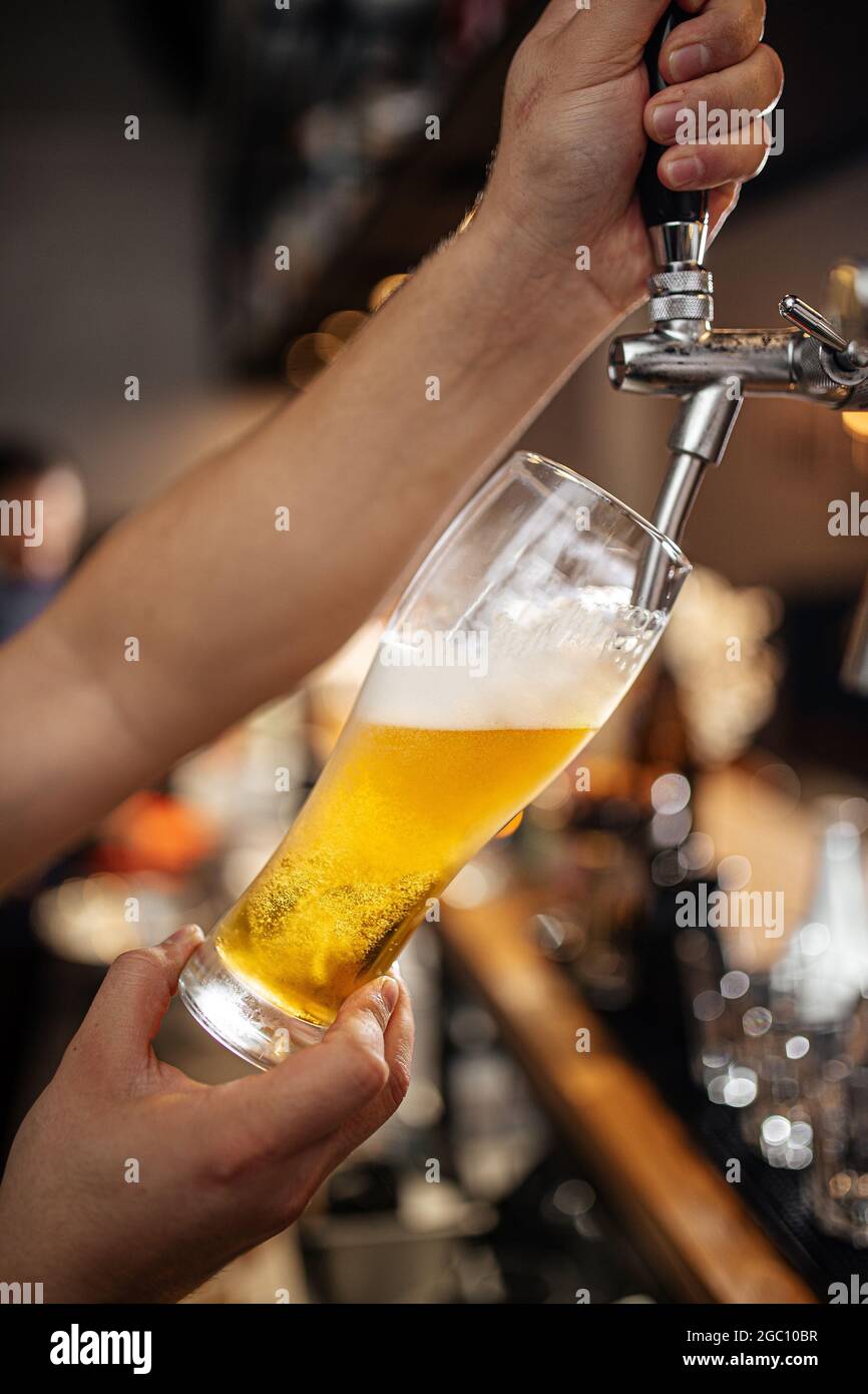 Bartender pouring beer glass hi-res stock photography and images - Alamy