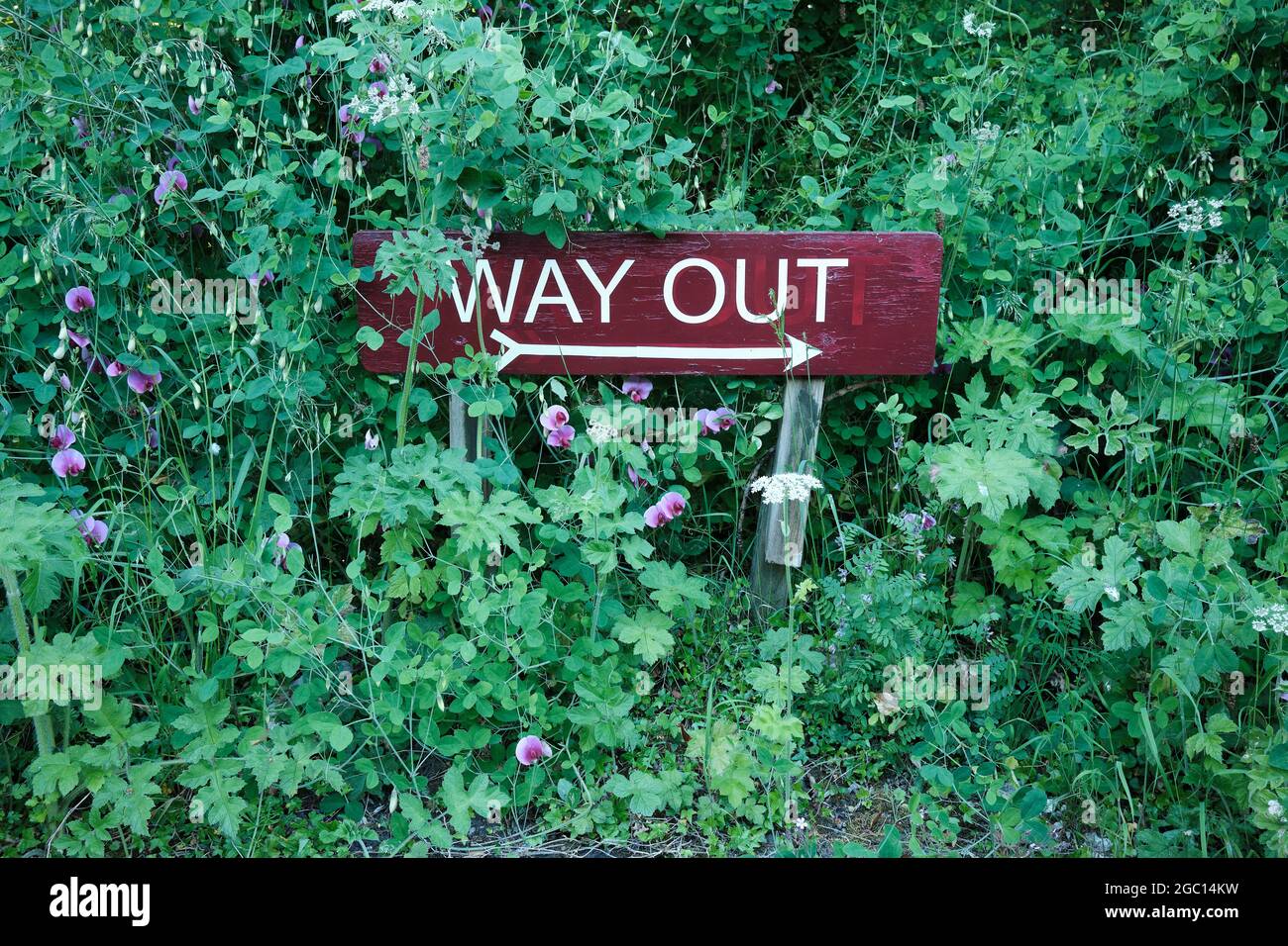 Way Out Sign Board High Resolution Stock Photography and Images - Alamy