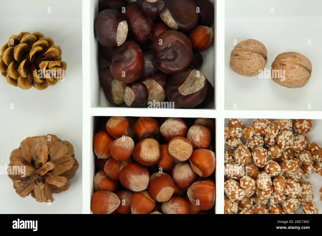 Assortment of nuts,chestnut, pinecone and acorn in white wooden box ...