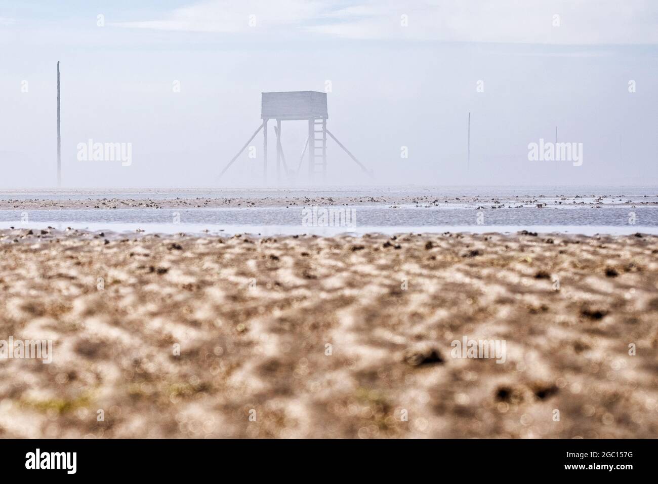 Sea Fret on Holy Island Stock Photo - Alamy