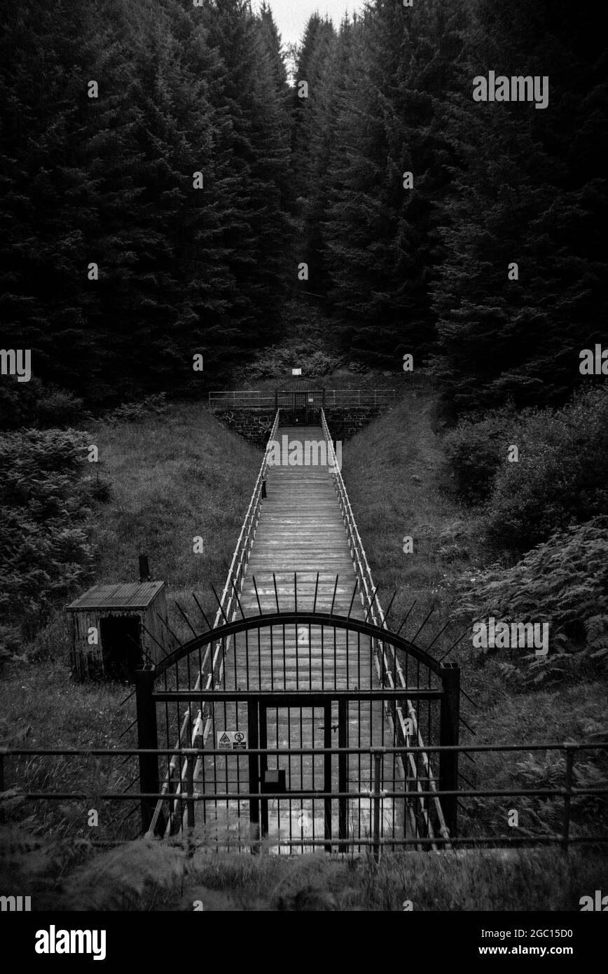 Ard Black and White Stock Photos & Images - Alamy