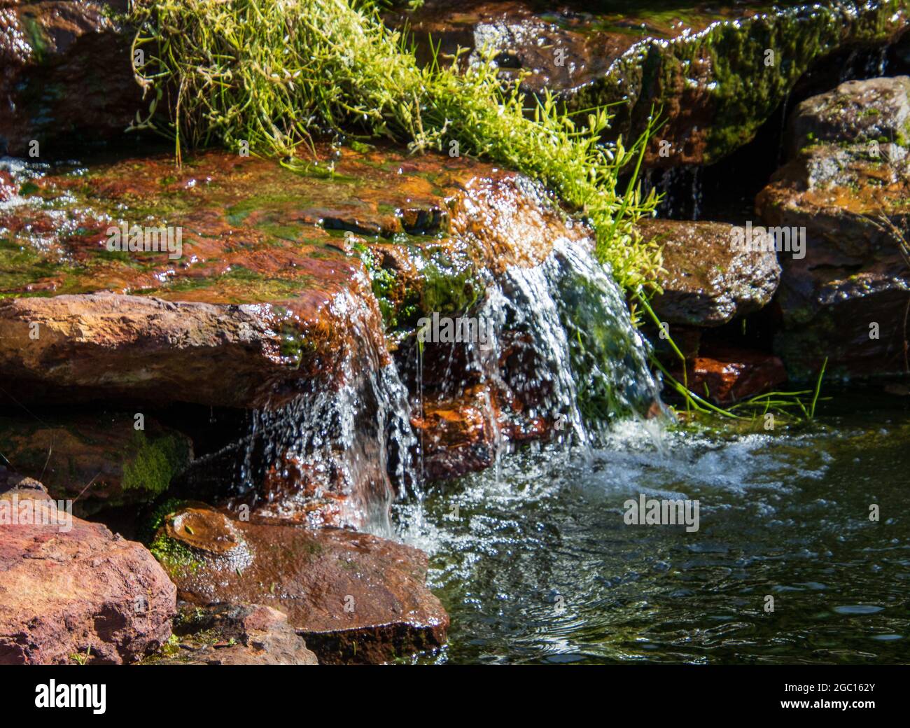 Landscaped pond with waterfalls in a garden Stock Photo - Alamy