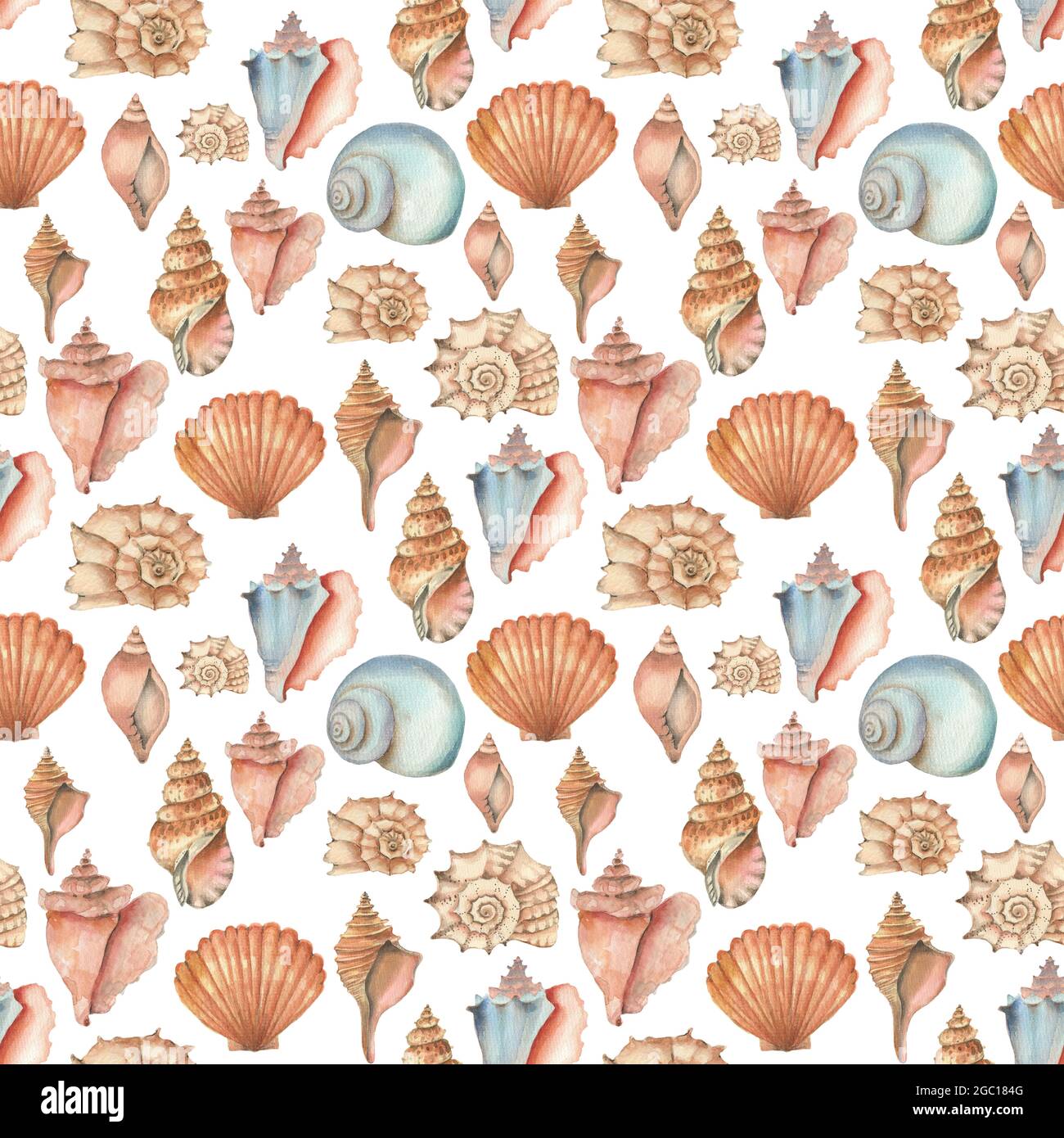 Watercolor shell seamless pattern Stock Photo - Alamy
