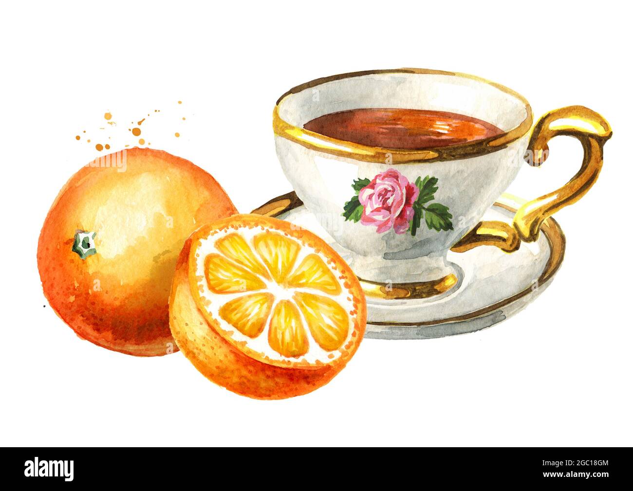 Cup of tea and orange fruit slice. Hand drawn watercolor illustration ...