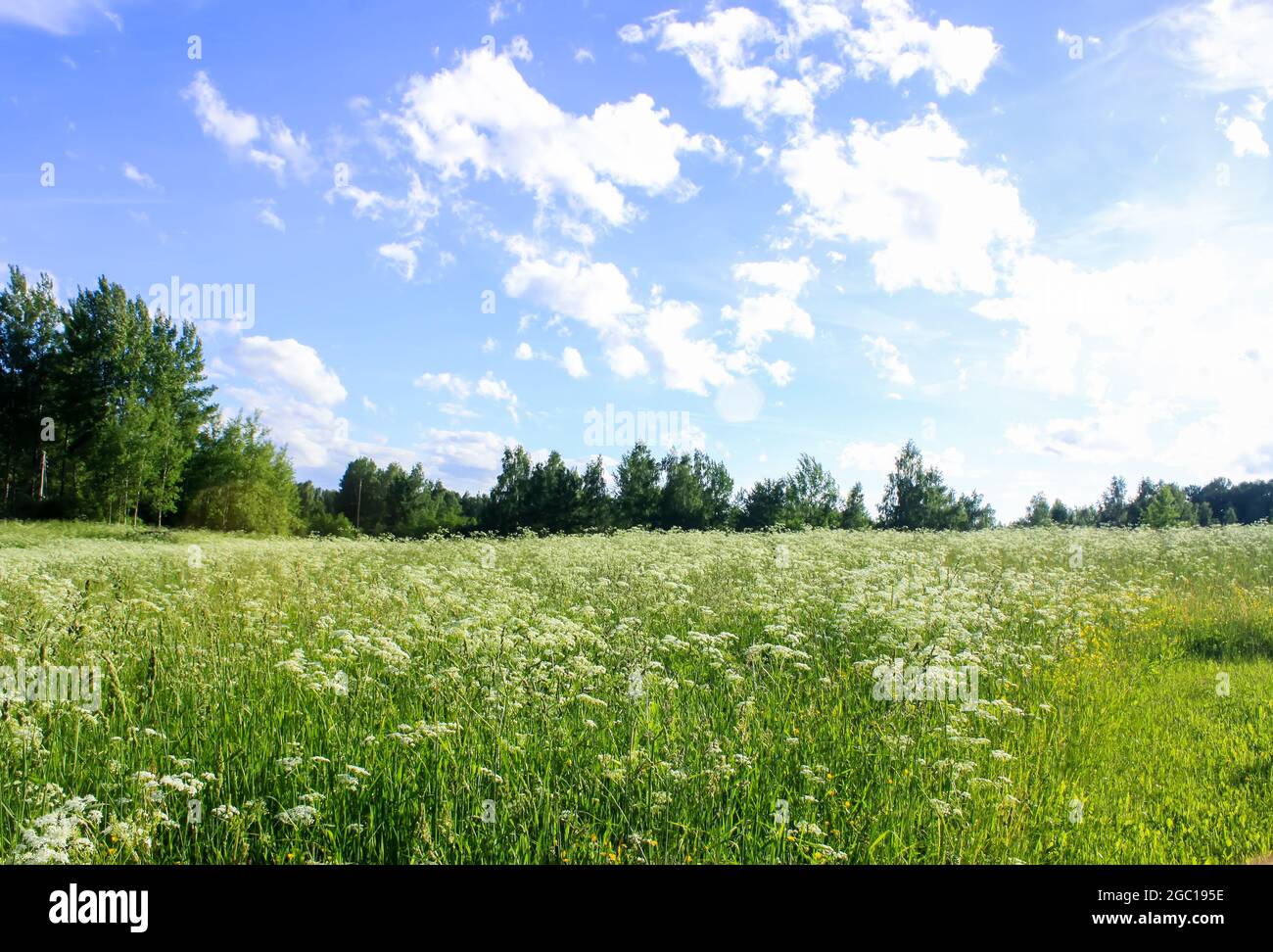 Summer landscape in countryside Stock Photo - Alamy