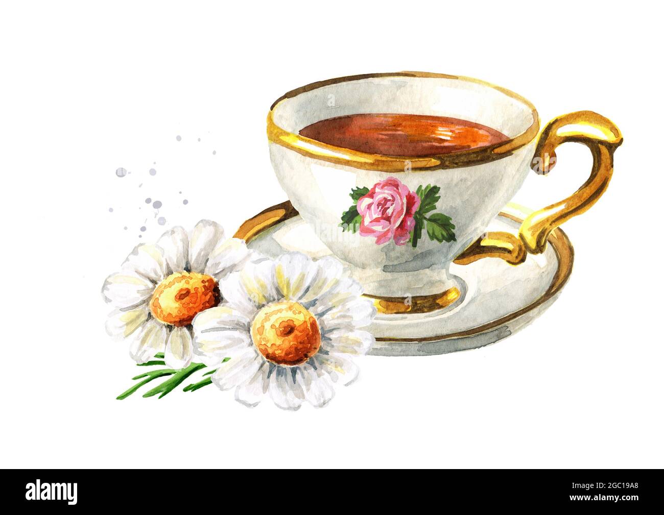 Cup of tea with Chamomile. Hand drawn watercolor illustration isolated ...