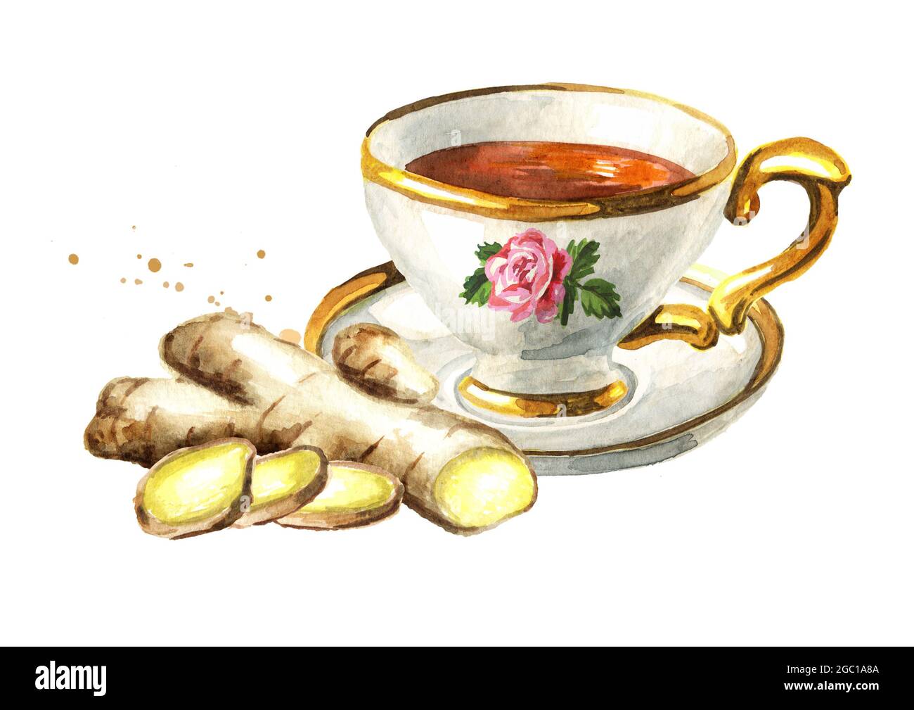 Cup of tea with Ginger. Hand drawn watercolor illustration isolated on ...