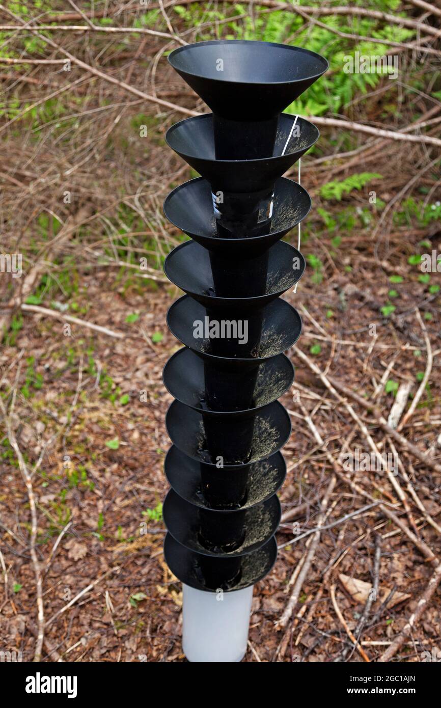insect traps in the forest used for research Stock Photo - Alamy