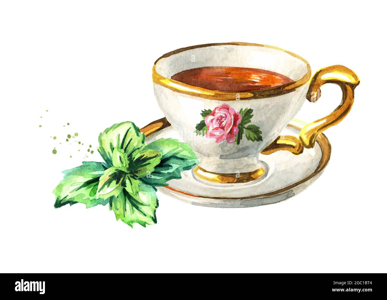 Cup of tea with mint. Hand drawn watercolor illustration isolated on ...