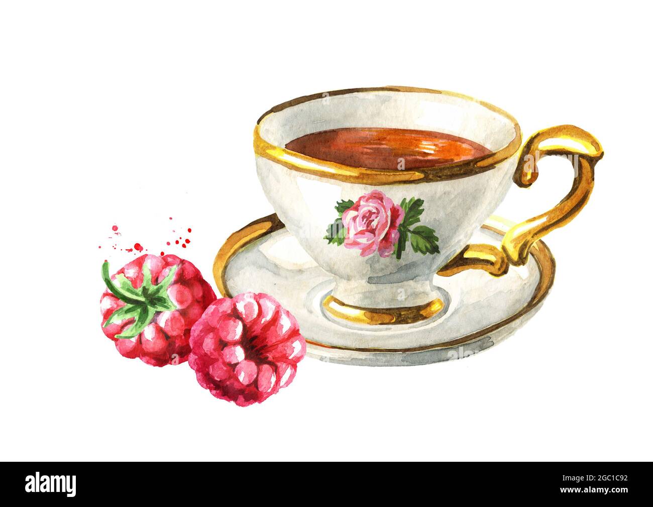 Cup of tea with Raspberry. Hand drawn watercolor illustration isolated ...